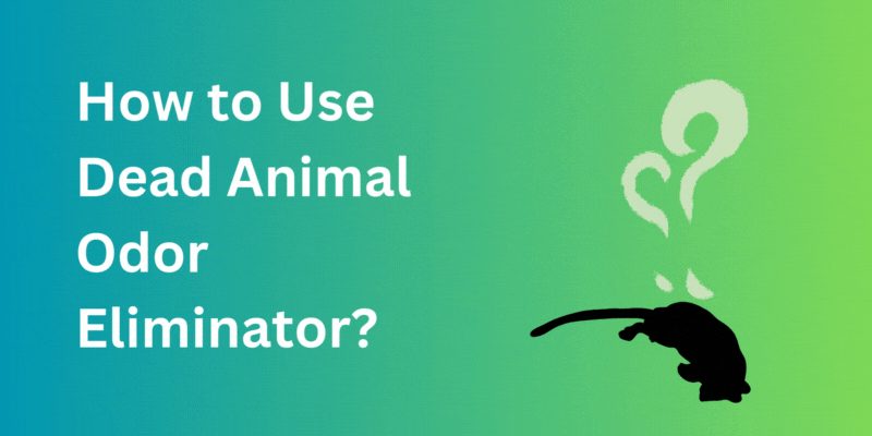 How to Use Dead Animal Odor Eliminator? – Nature's Pure Edge