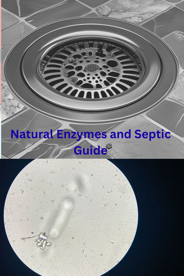 Natural Enzyme Drain & Septic Cleaner Guide 2025 – Nature's Pure Edge