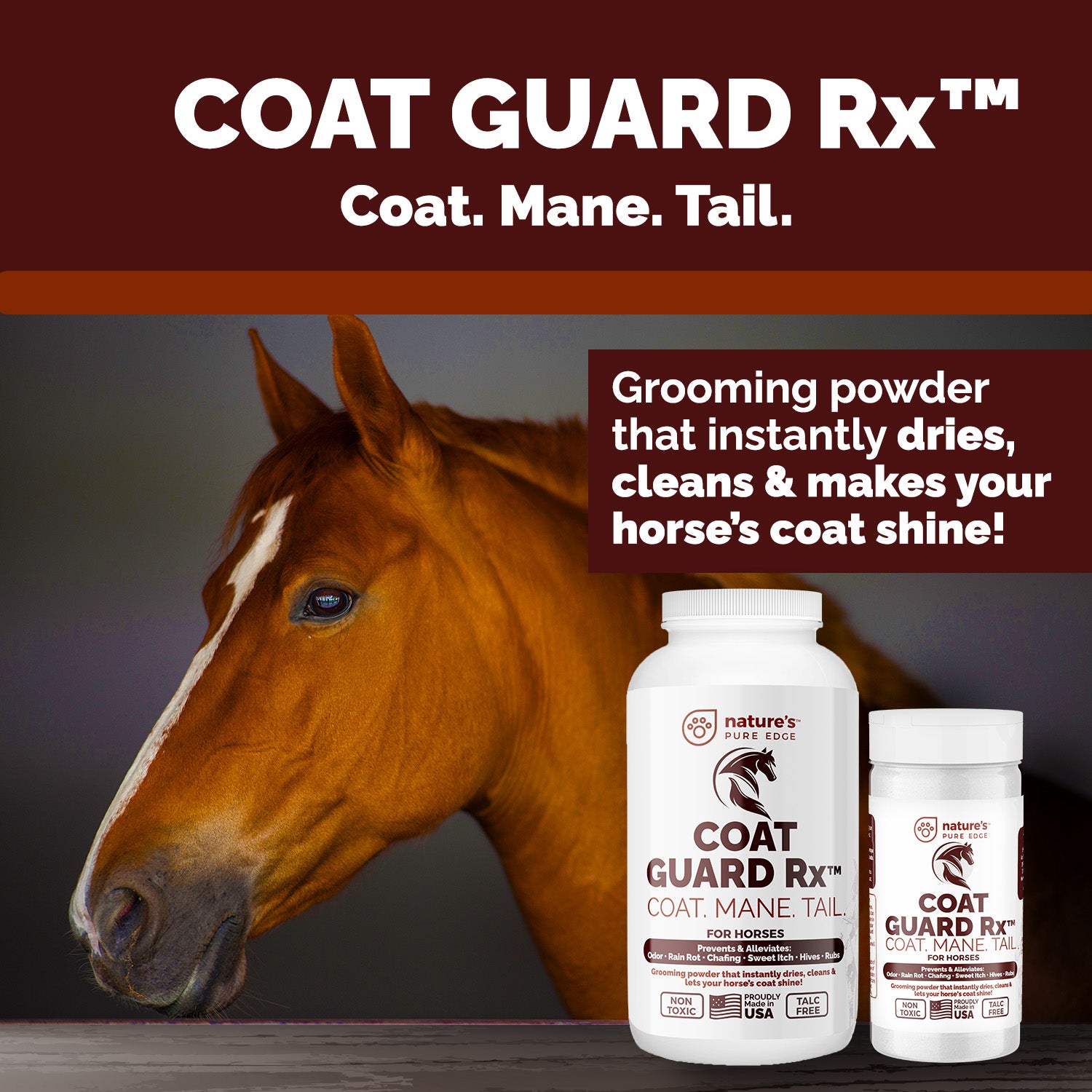 Coat Guard Rx™ - Coat, Mane, and Tail Powder for Horses – Nature's Pure ...