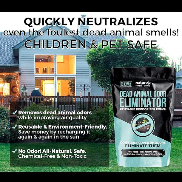 Natural vs. Chemical Solutions for Eliminating Dead Animal Odors ...